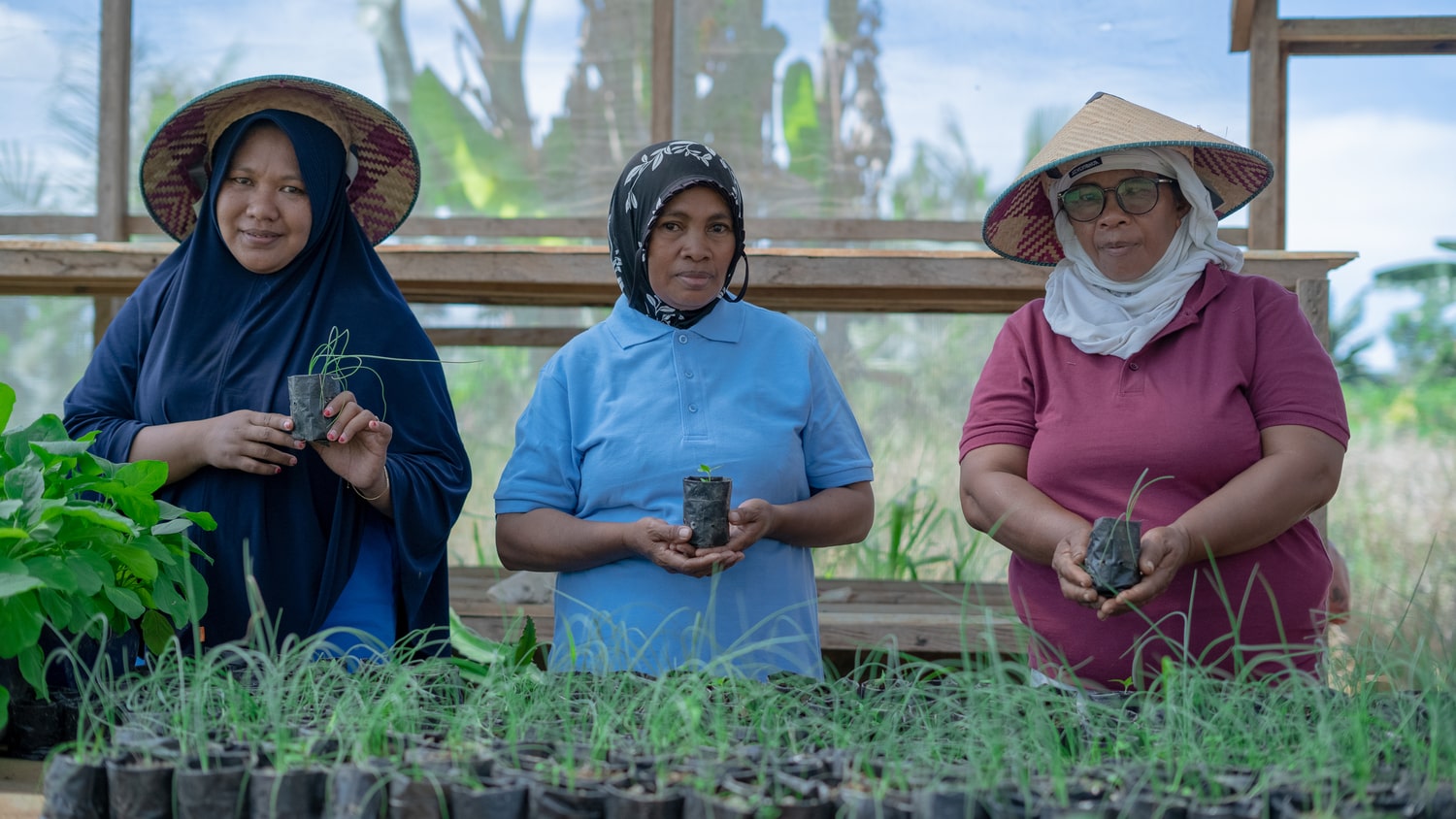 Kerja Sama Kelompok Tani di Pulau Obi dengan Harita Nickel